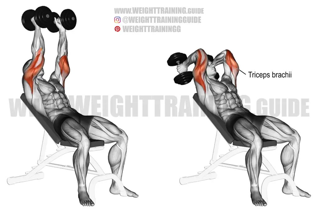 Incline dumbbell triceps extension exercise instructions and video Incline dumbbell triceps extension exercise instructions and video