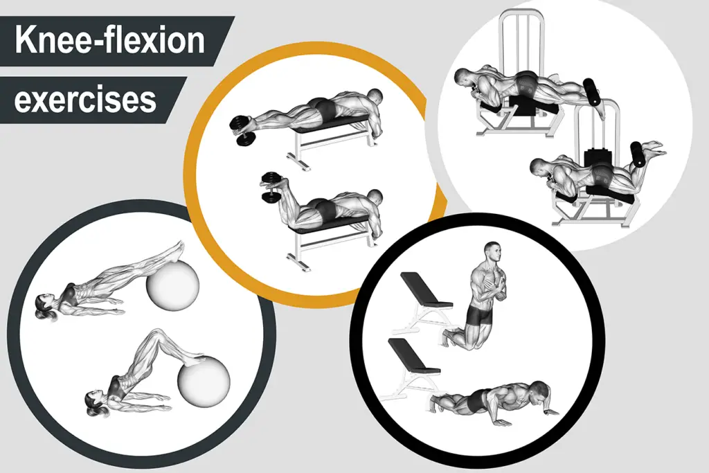 Hip-flexion and hip-and-waist-flexion exercises | Muscle Activation Guide Hip-flexion and hip-and-waist-flexion exercises | Muscle Activation Guide
